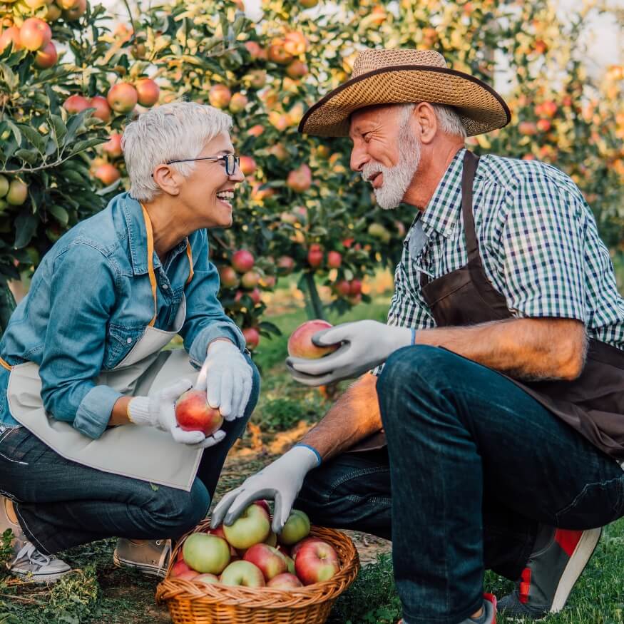 Establish, Protect & Grow Your Wealth - Expert Financial Advisors